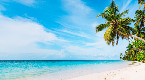 Airline Tickets | Vacation Packages | Cruises & Last Minute Deals | Red ...